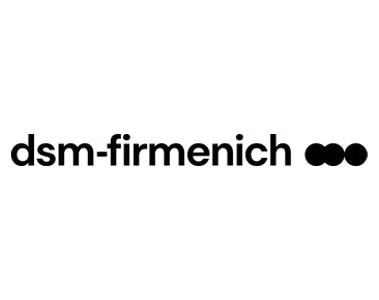 Brand - DSM (Firmenich Group) – Bulkaroma