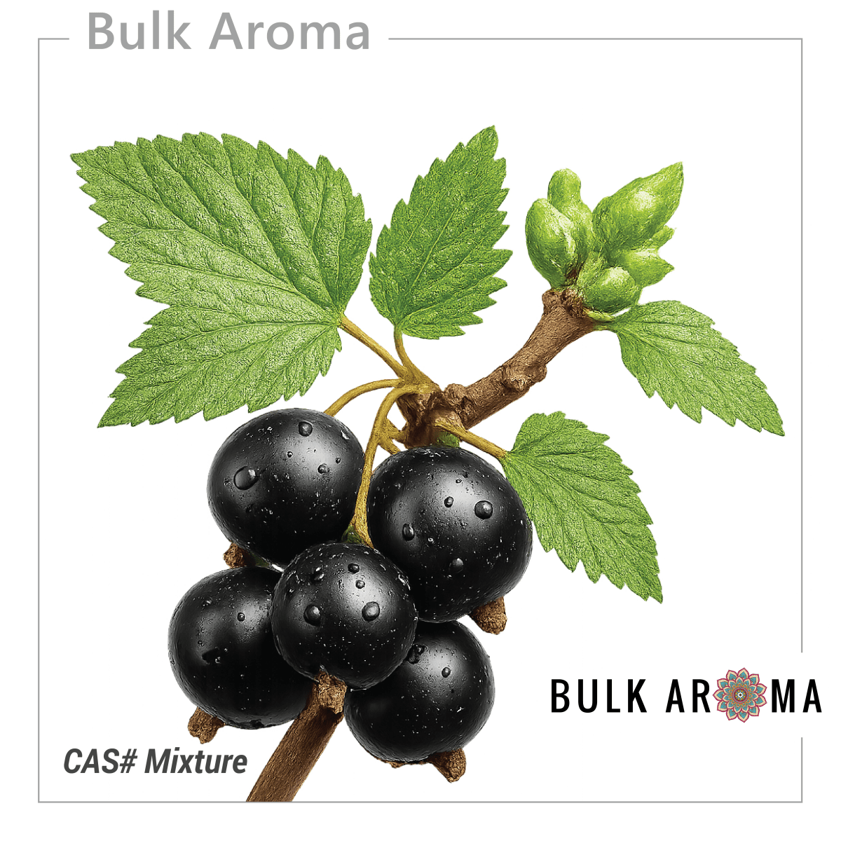 Black Current Bud Abs. Replacer BC2657/R by BULKAROMA – Bulkaroma